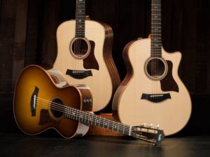 11 Alat Musik Modern, Gambar, Penjelasan Dan Cara Memainkannya