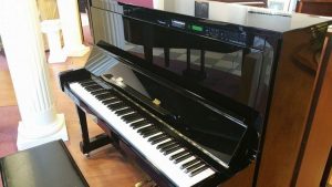 11 Alat Musik Modern, Gambar, Penjelasan Dan Cara Memainkannya