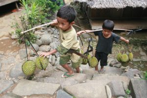 13 Fakta Suku Baduy yang Unik, Menarik dan Tak Biasa