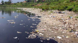 Macam-Macam Pencemaran Lingkungan, Sebab dan Cara Mengatasinya