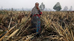 Macam-Macam Pencemaran Lingkungan, Sebab dan Cara Mengatasinya