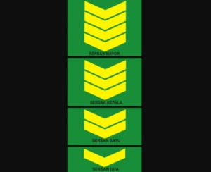 Urutan Pangkat TNI AD, AL, TNI AU dan Penjelasannya
