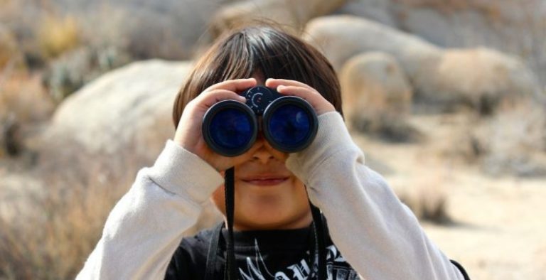 Pengertian Observasi: Tujuan, Ciri-Ciri, Jenis dan Manfaatnya ...