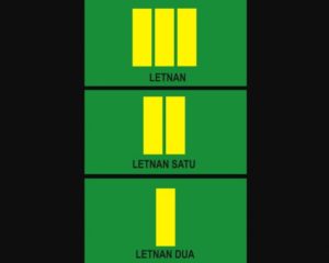 Urutan Pangkat TNI AD, AL, TNI AU dan Penjelasannya